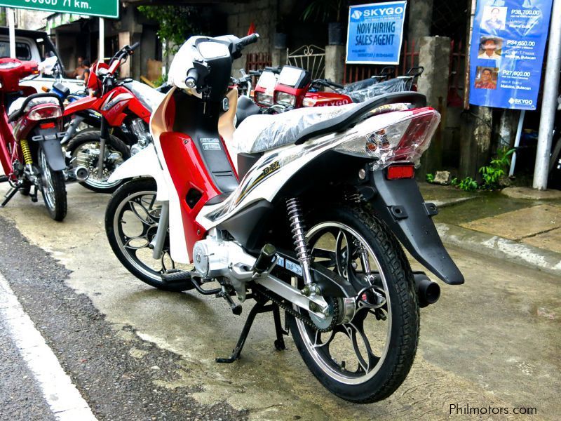 New SKYGO Duke 110 | 2014 Duke 110 for sale | Countrywide SKYGO Duke ...